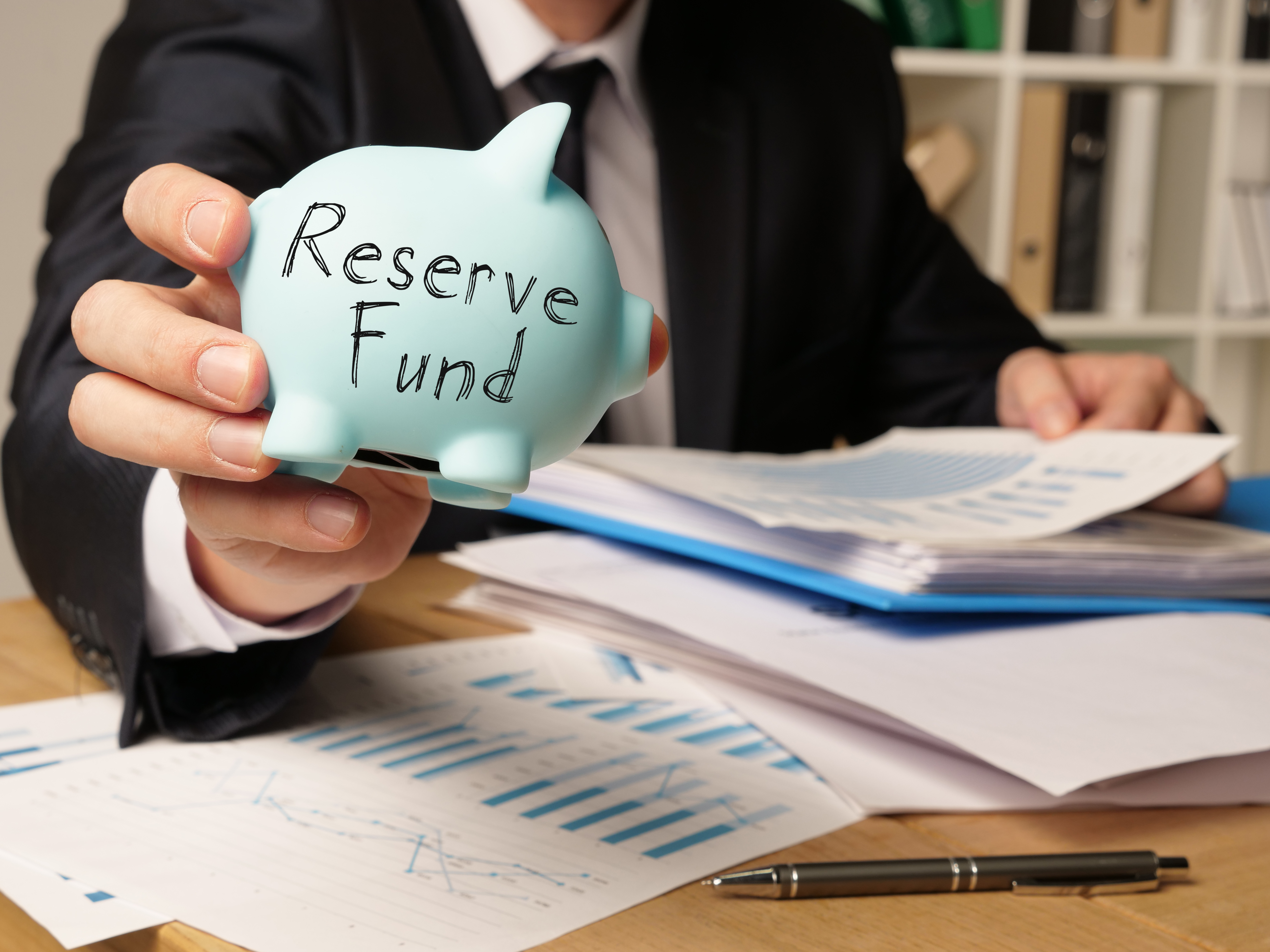 Cash Reserves